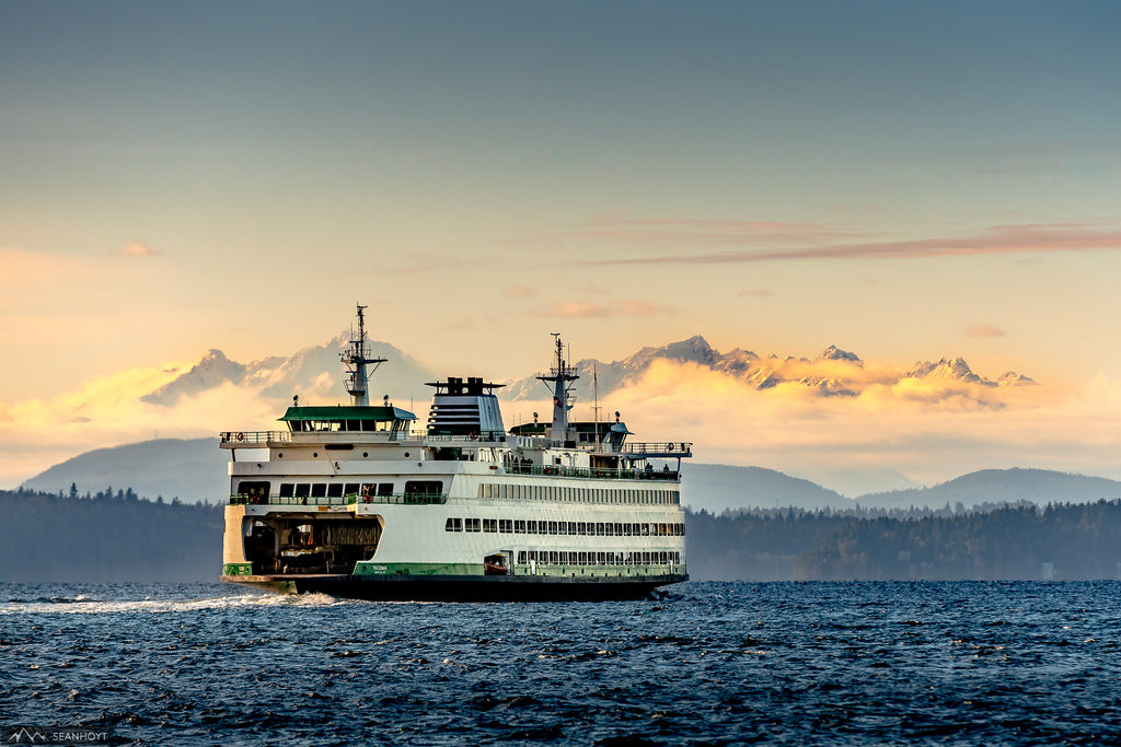 Can You Take Dogs On The Seattle Ferry